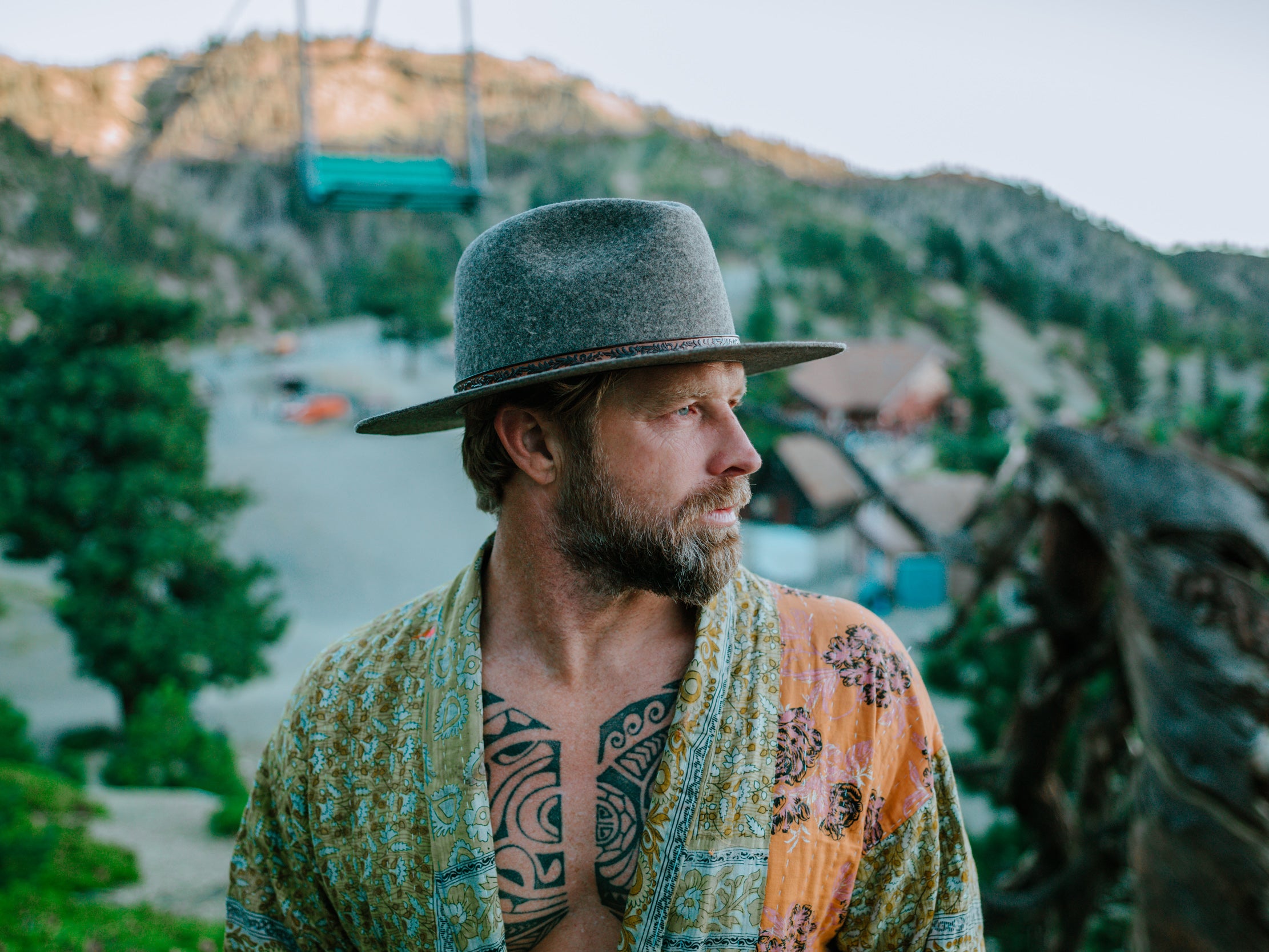 Into the Wild by Michael Allen – ArtAche Hotel